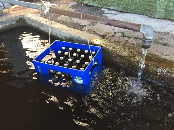 Forst Sixtus - Beer To Go